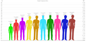 The Height Comparison Chart: Precise Comparing Heights Tool